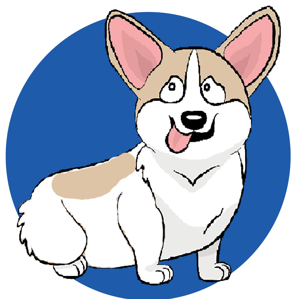 Squishface Products for All Breeds | Dog Skincare for Allergies ...